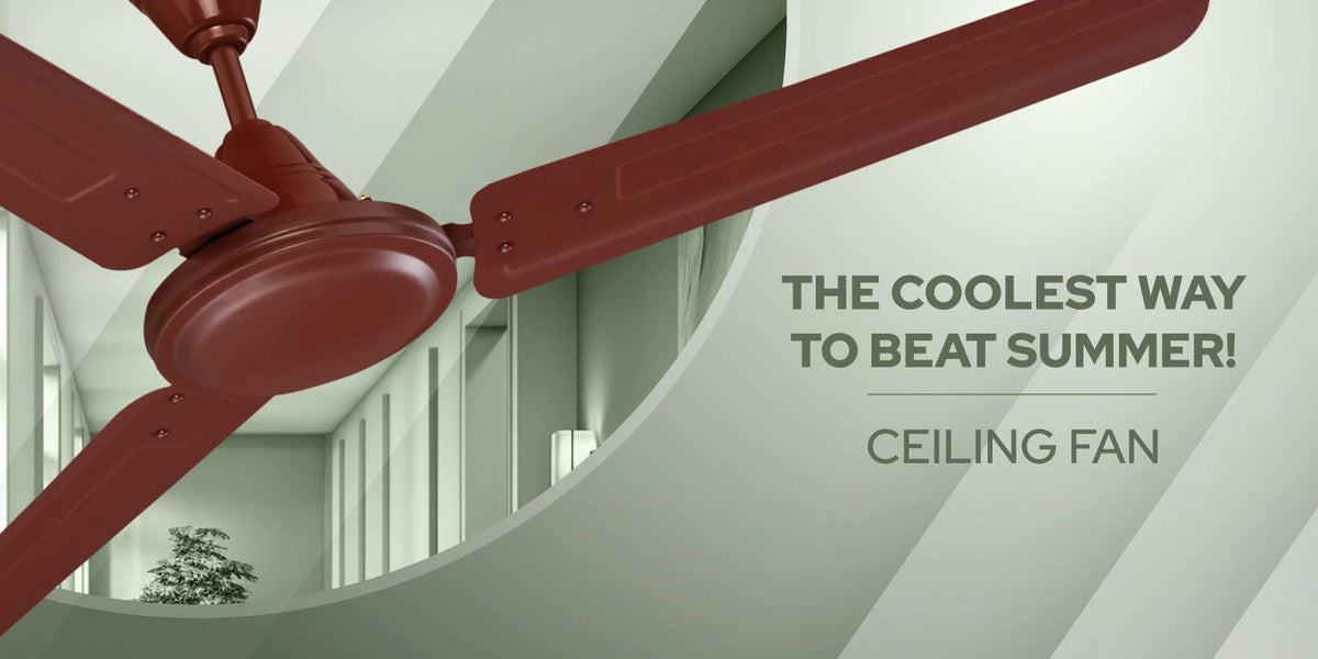 Ceiling Fan — Impex Webstore