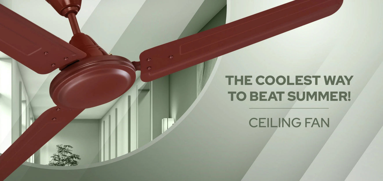 Ceiling Fan — Impex Webstore