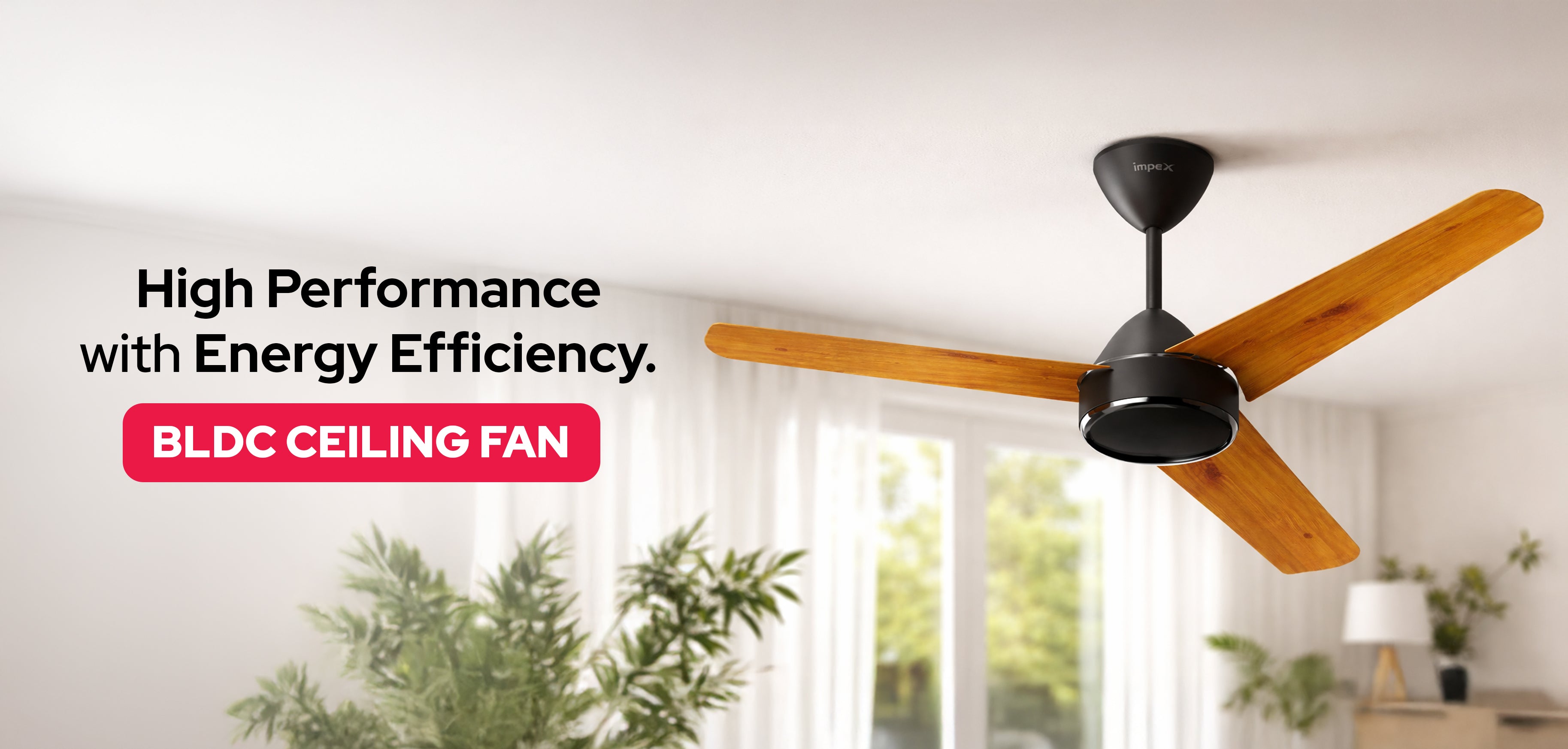 BLDC Ceiling Fan – Impex Webstore